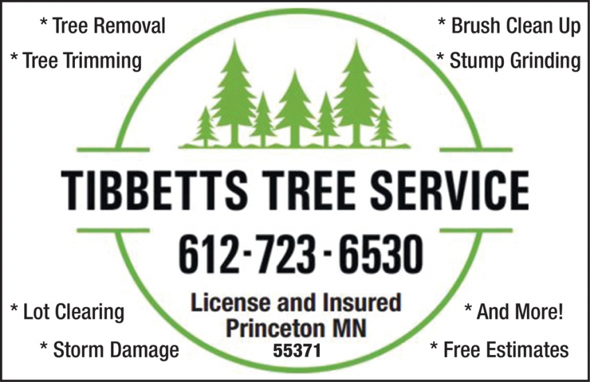 Brush Clean Up, Tibbetts Tree Service
